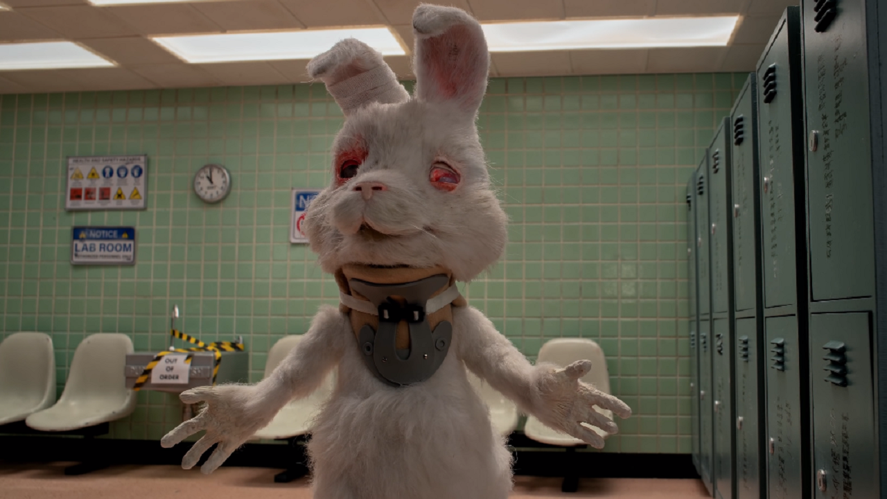 ¿Tus cosméticos son libres de crueldad animal?: 'Save Ralph ...