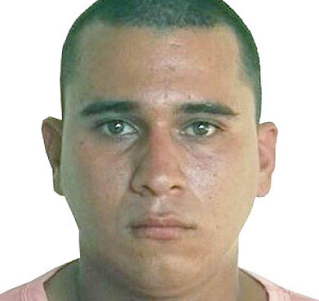 Alias Diarrea, el Gato, Coyote y Barbas fueron expulsados de Venezuela ...