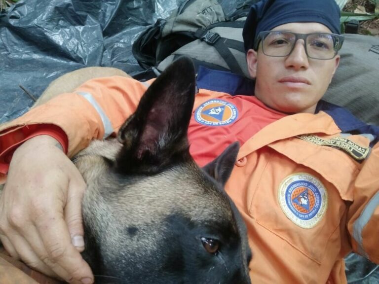 "Ninguno se queda atrás": sigue operación para encontrar a Wilson ...