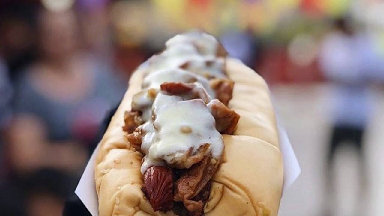 Festival del Perro Caliente en la Plaza de la Paz: "Todos los perros a ...
