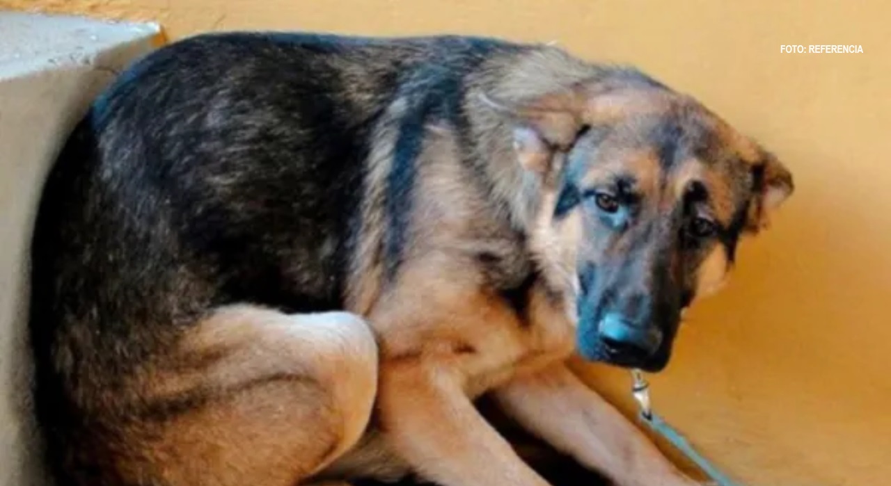 Fiscalía socializa canales de denuncias y rutas de atención para casos ...